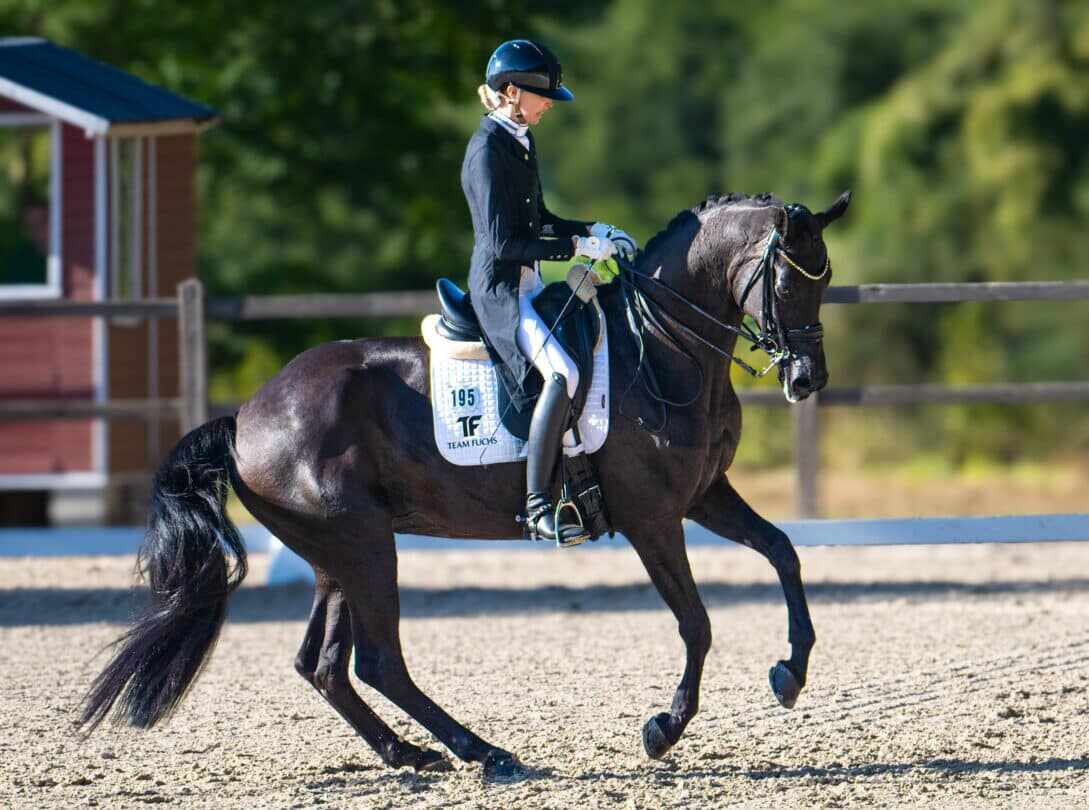 Simone Pearce and ‘Queen’ claim second victory - Equestrian Life