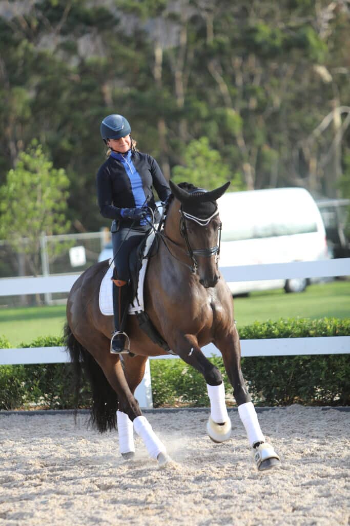 Dorothee Schneider starts a new era at Famos Stud - Equestrian Life