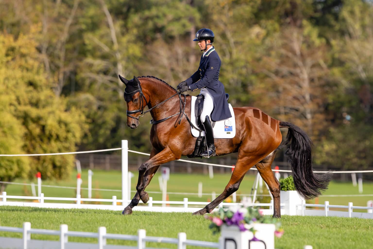 Top ten for Kevin McNab ahead of jumping phases at Blenheim ...