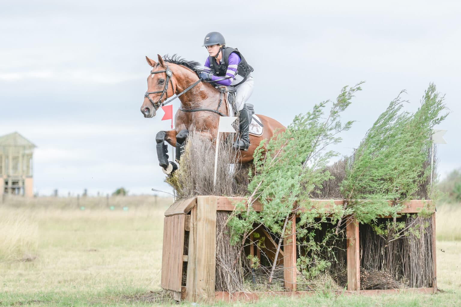 Shenae Lowings and Bold Venture lead the way at Tamworth International ...