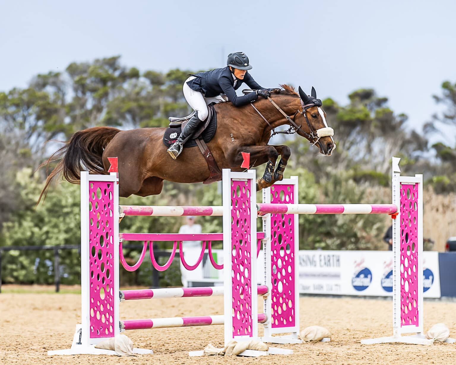 Emma Collins and Oaks Abracadabra win Boneo World Cup - Equestrian Life