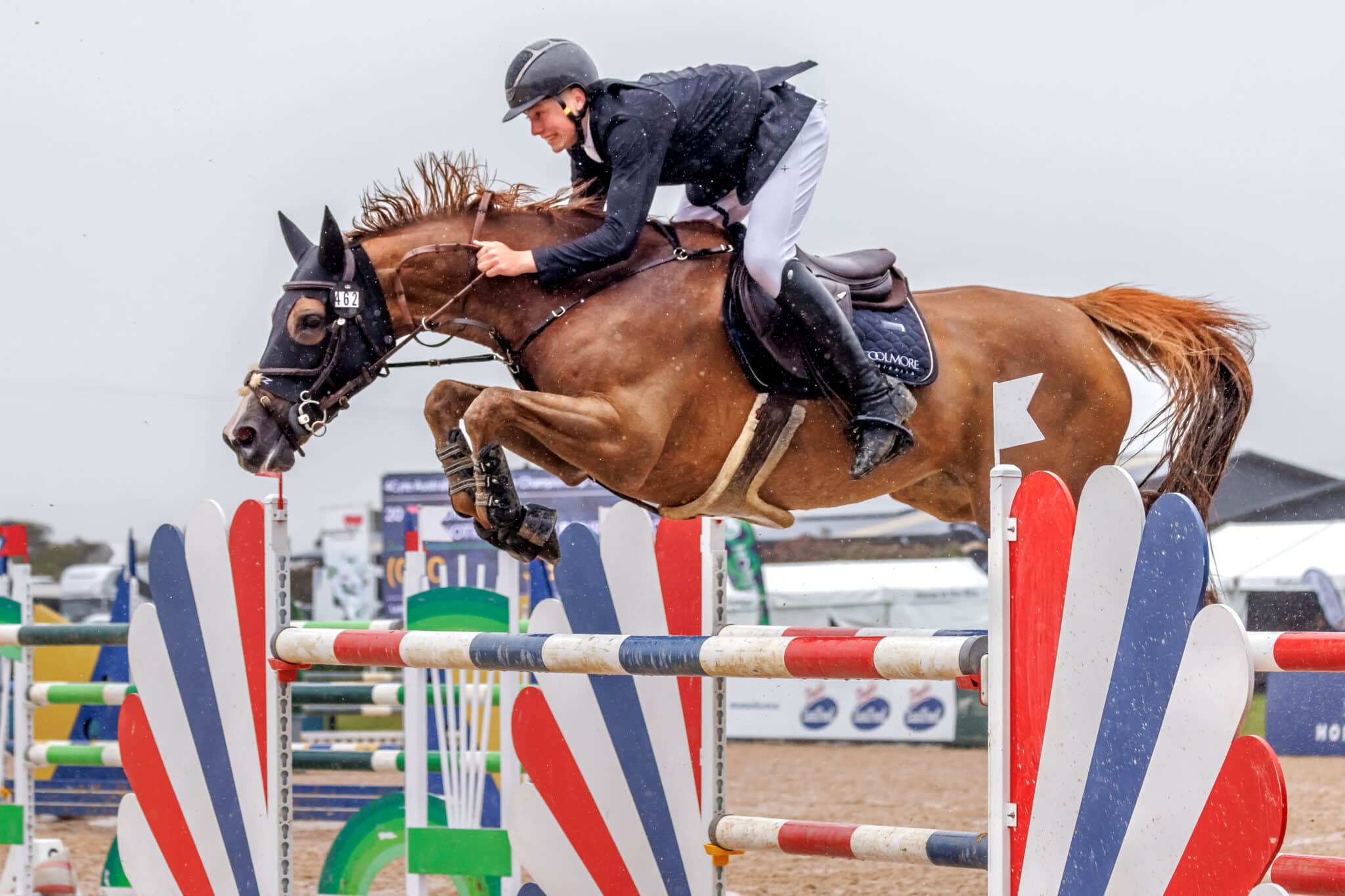 Tom McDermott and Oaks Ventriloquist claim 2025 Australian Senior ...