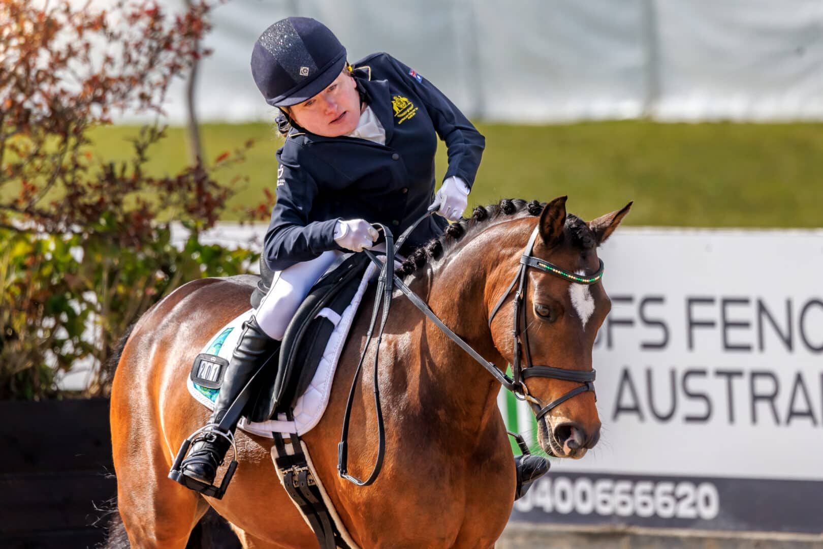 Equestrian Australia releases Eventing and Para Dressage National High ...