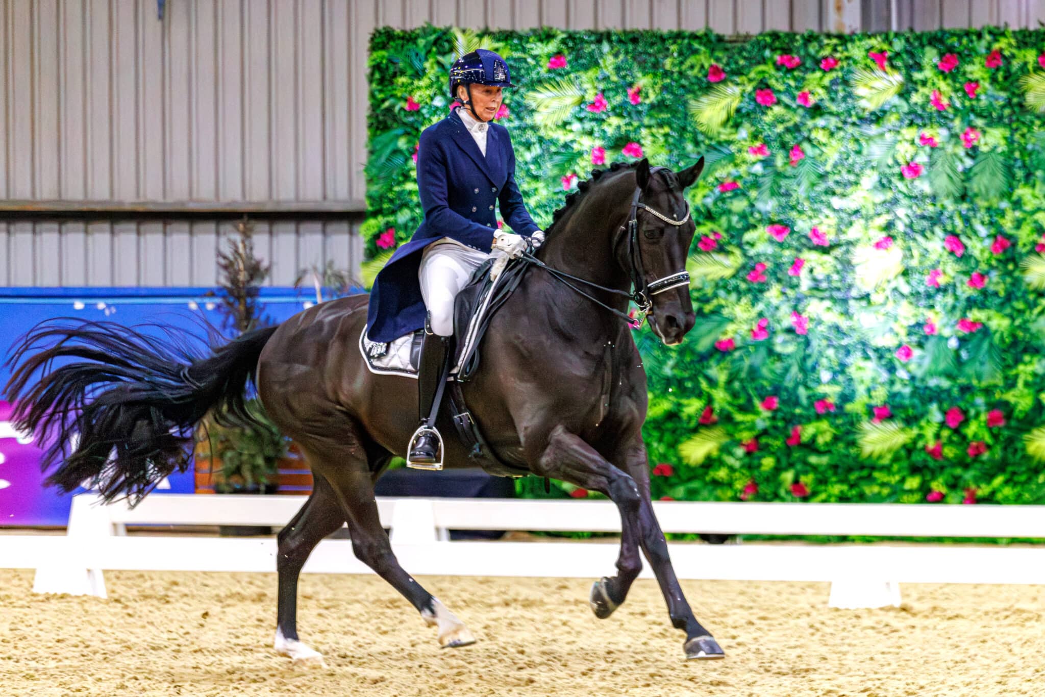2025 High Horse - Ulcer Armour+ Victorian Dressage Festival set to deliver world-class ...
