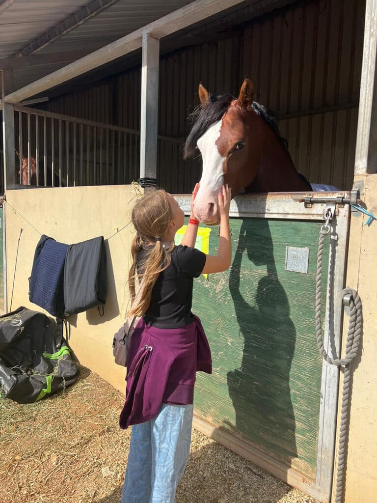 MR HOLLYWOOD THE PONY STAR - Equestrian Life